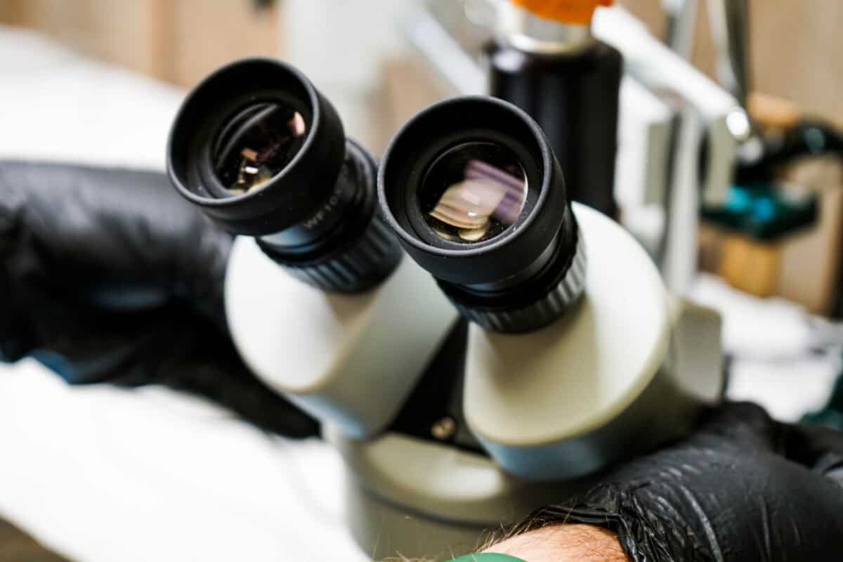 Oil Filter Testing | Blackstone Laboratories